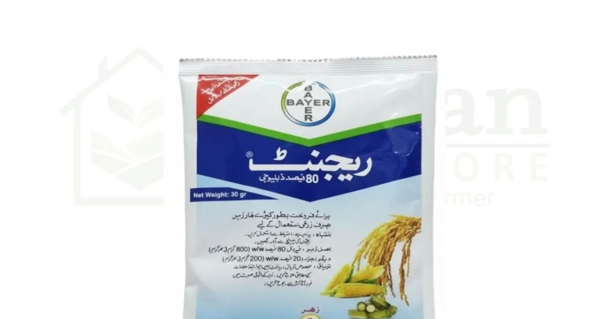 Regent 80wg Fipronil (80 W/w) 30GM Bayer Crop Science | Buy Online ...